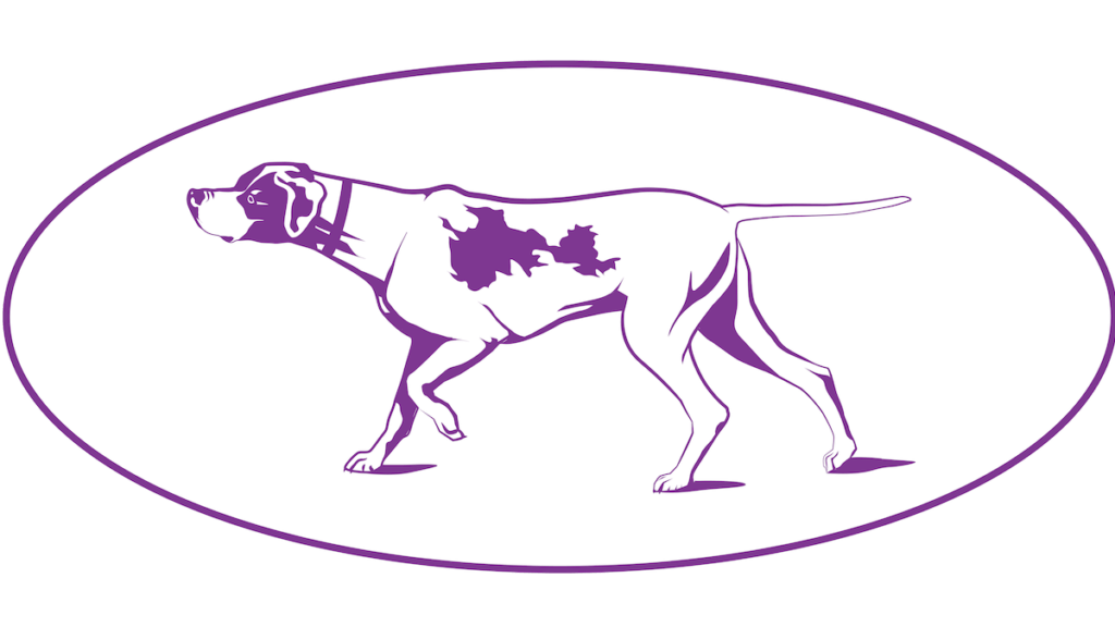 How To Watch Westminster Dog Show 2023 