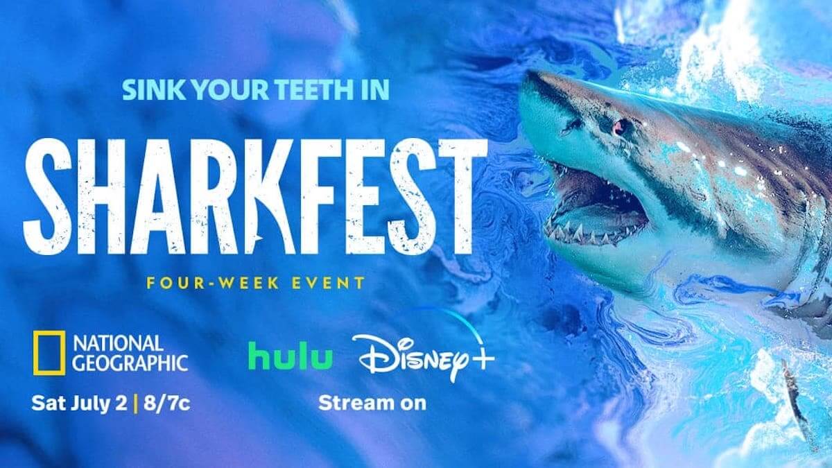 How To Watch SharkFest Without Cable